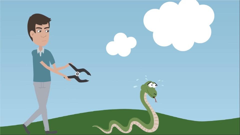 So, What Is a SnakeClamp? This Explainer Video Explains! – SnakeClamp ...